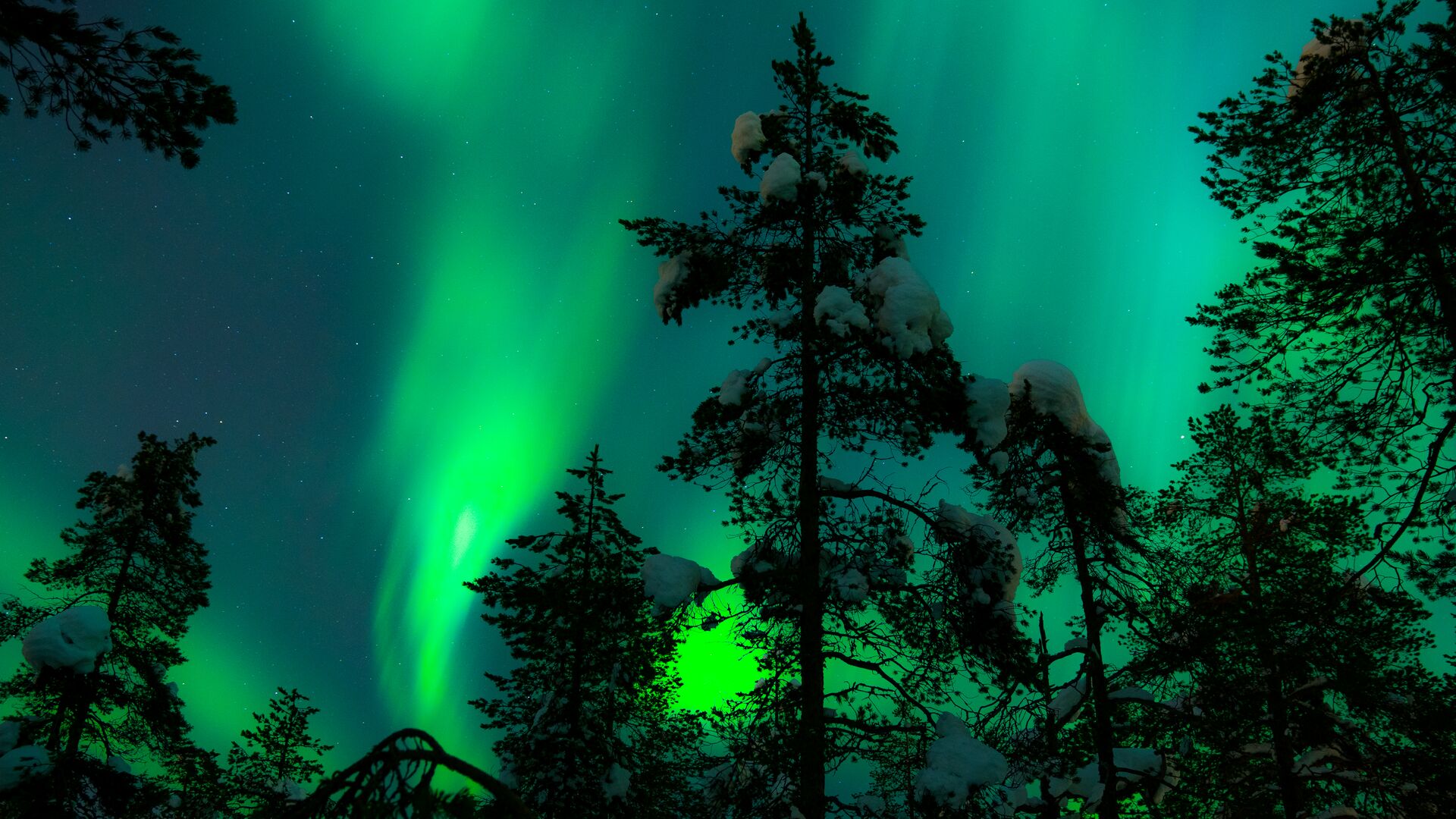 Best Time to Visit Finland: When to Go (and Why You Should)