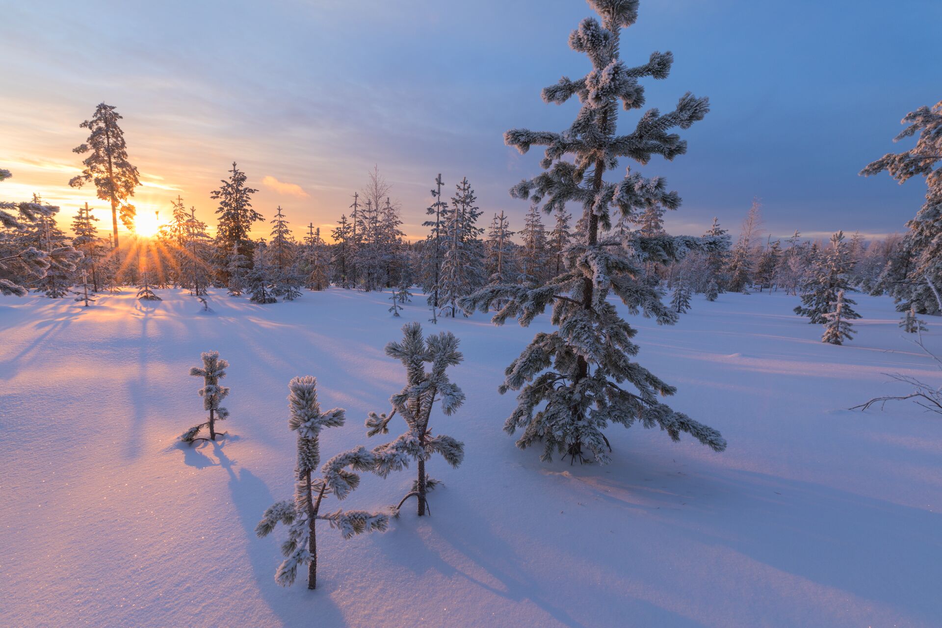 Best Time to Visit Finland: When to Go (and Why You Should)