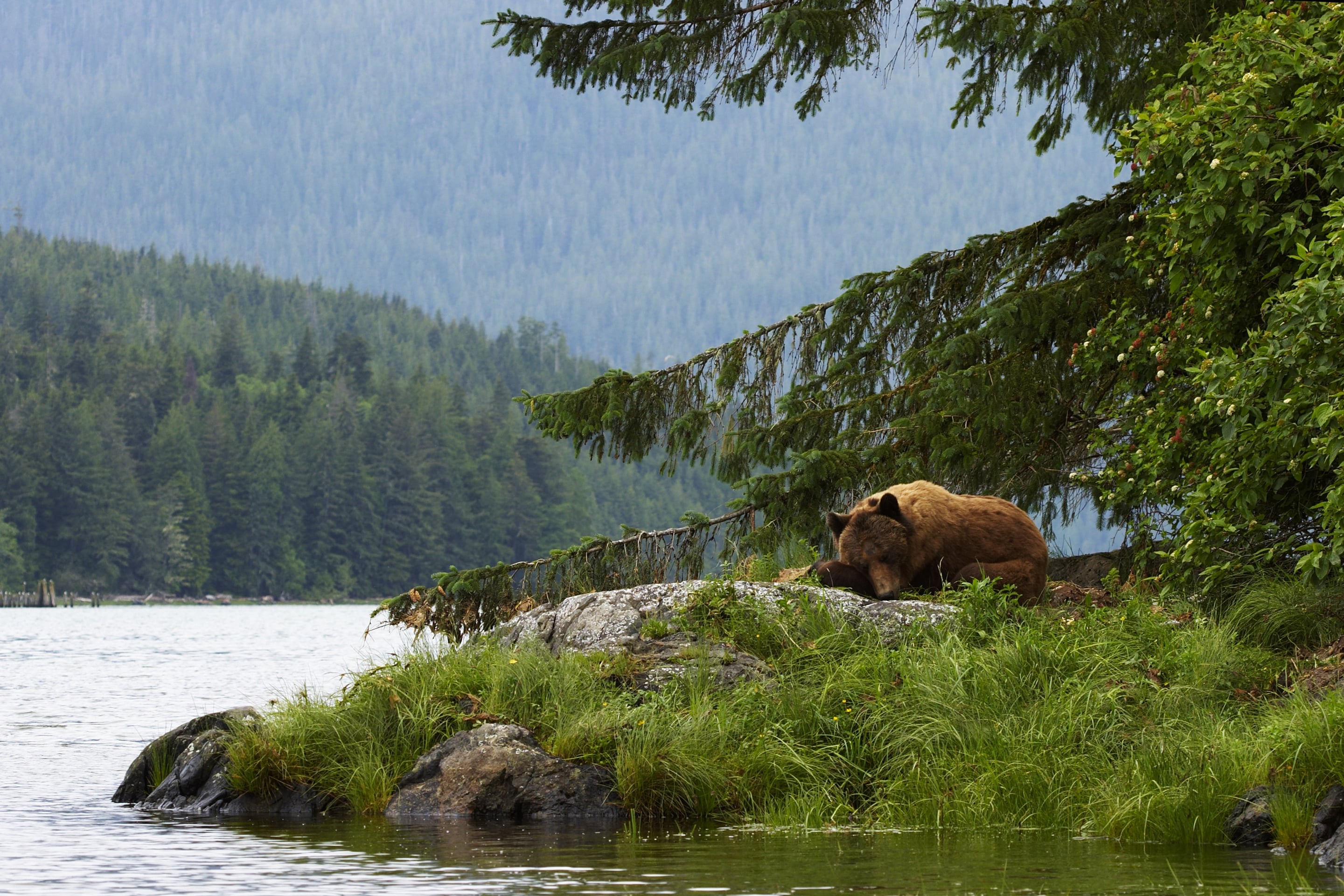 Authentic Canada Tour | Adventure World