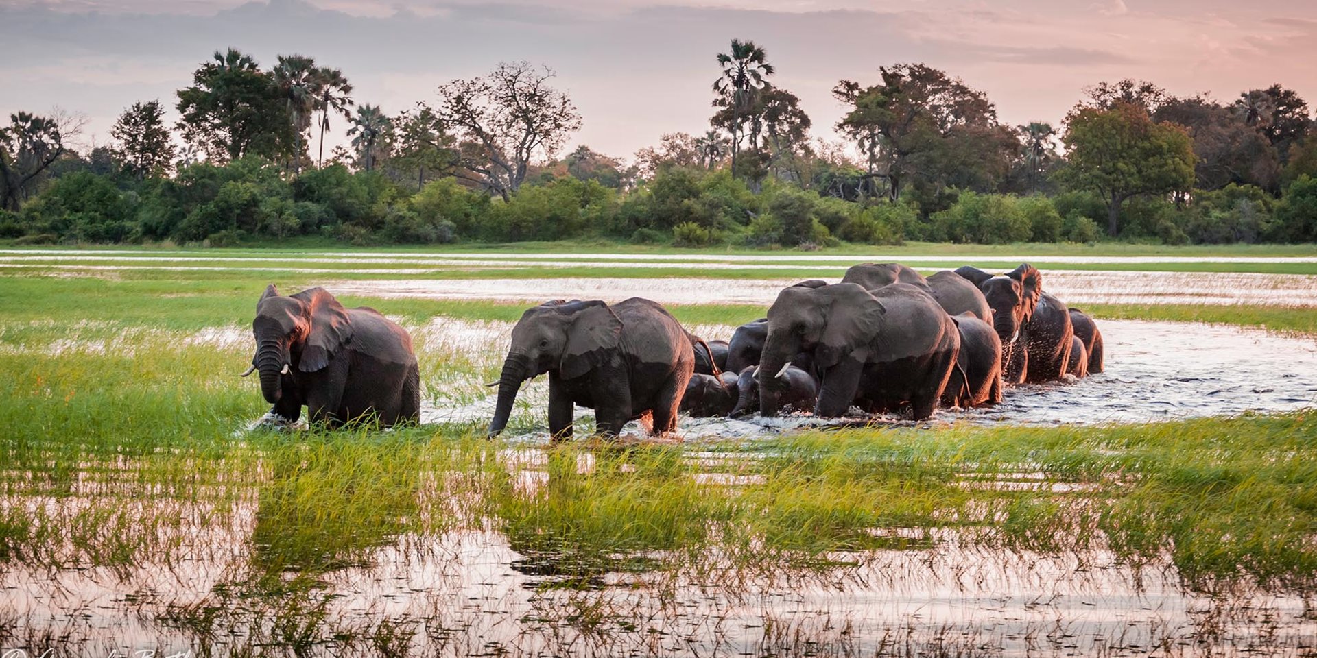 Botswana Trips: Okavango & Chobe Tours | Adventure World