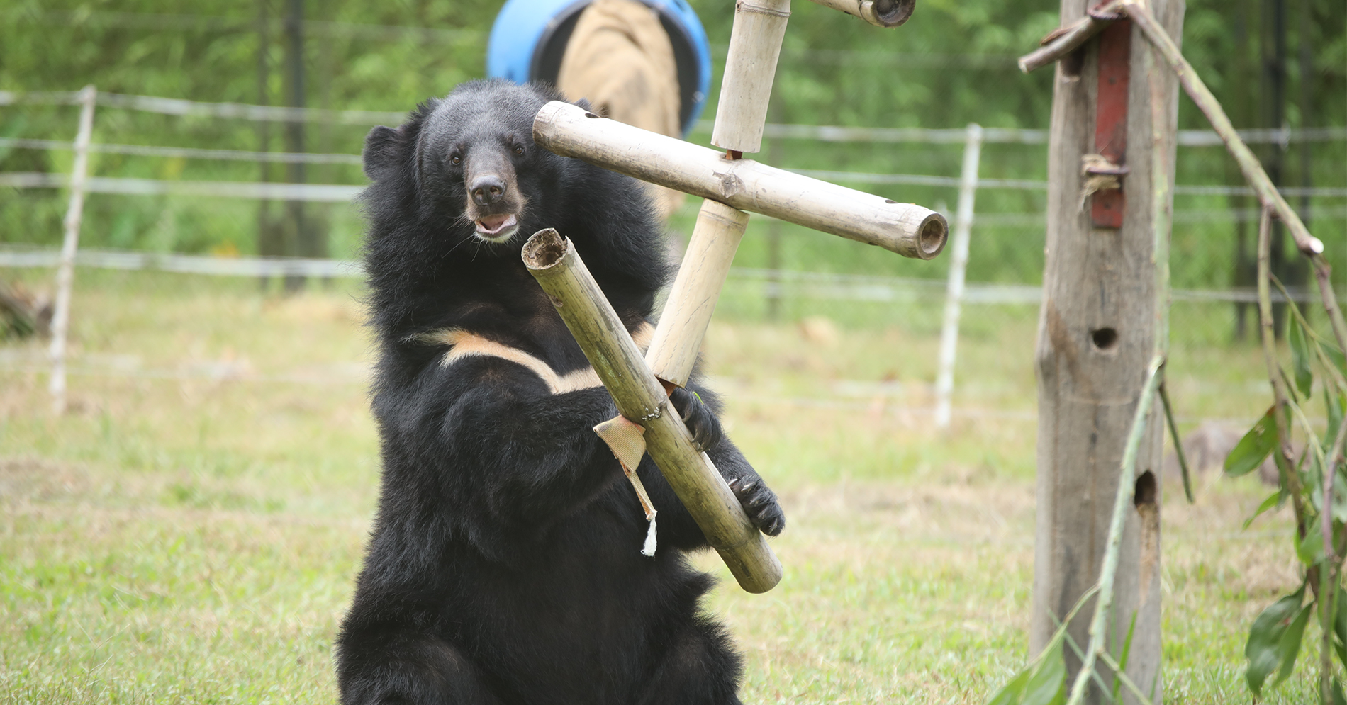 Animals Asia | Adventure World