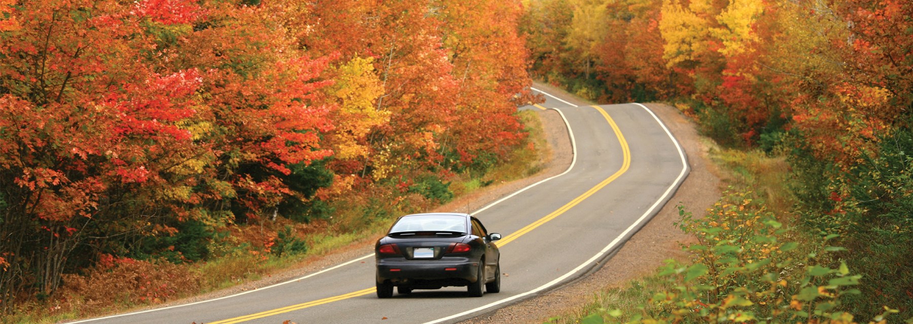 Fall Foliage Drive | Adventure World