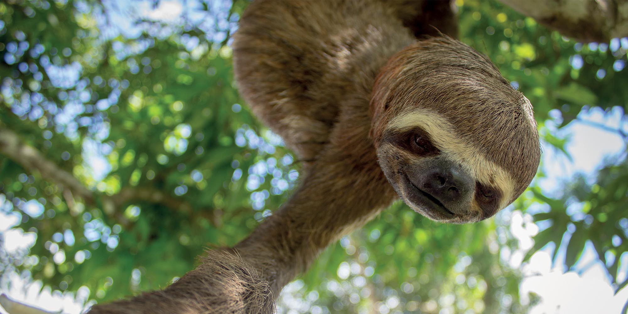 Experience Guanacaste Tour | Adventure World