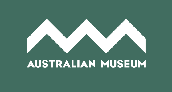 SEE IT HERE, SEE IT THERE